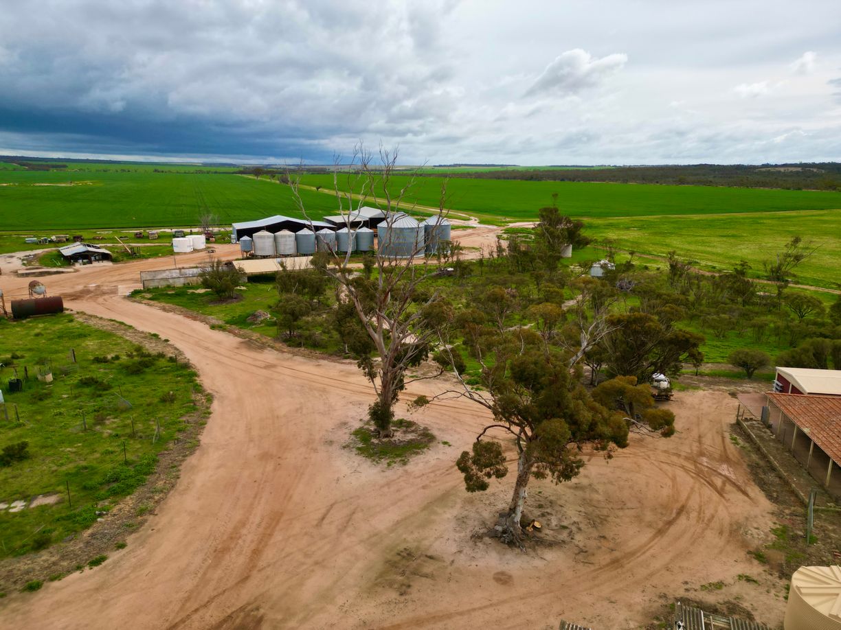 7,700ha Broadacre Cropping & Grazing Opportunity - SOLD! - 488 Allen ...