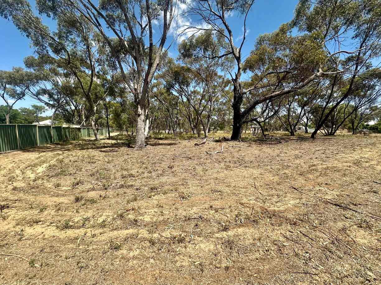 Unlock the potential - Residential Land in Pingelly - 39C Somerset ...