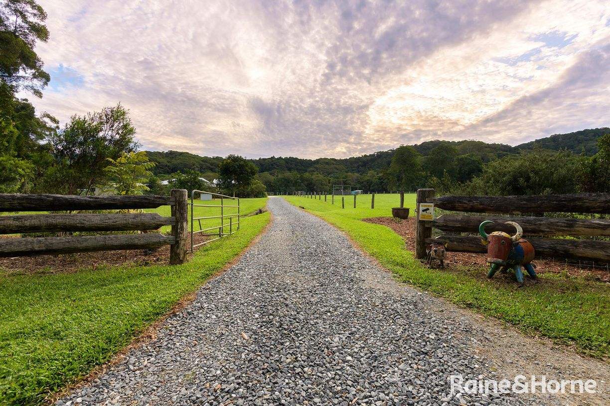 RURAL LIFESTYLE IMMERSED IN NATURE'S BEAUTY - Julatten QLD - Raine ...