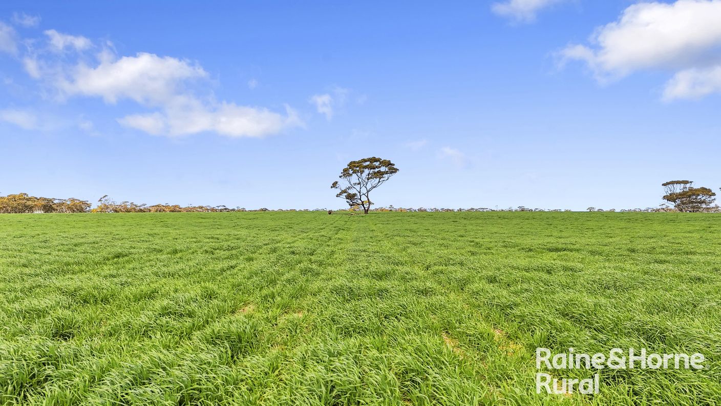 'Clovelly' - A well-managed 662ha cropping and grazing opportunity ...