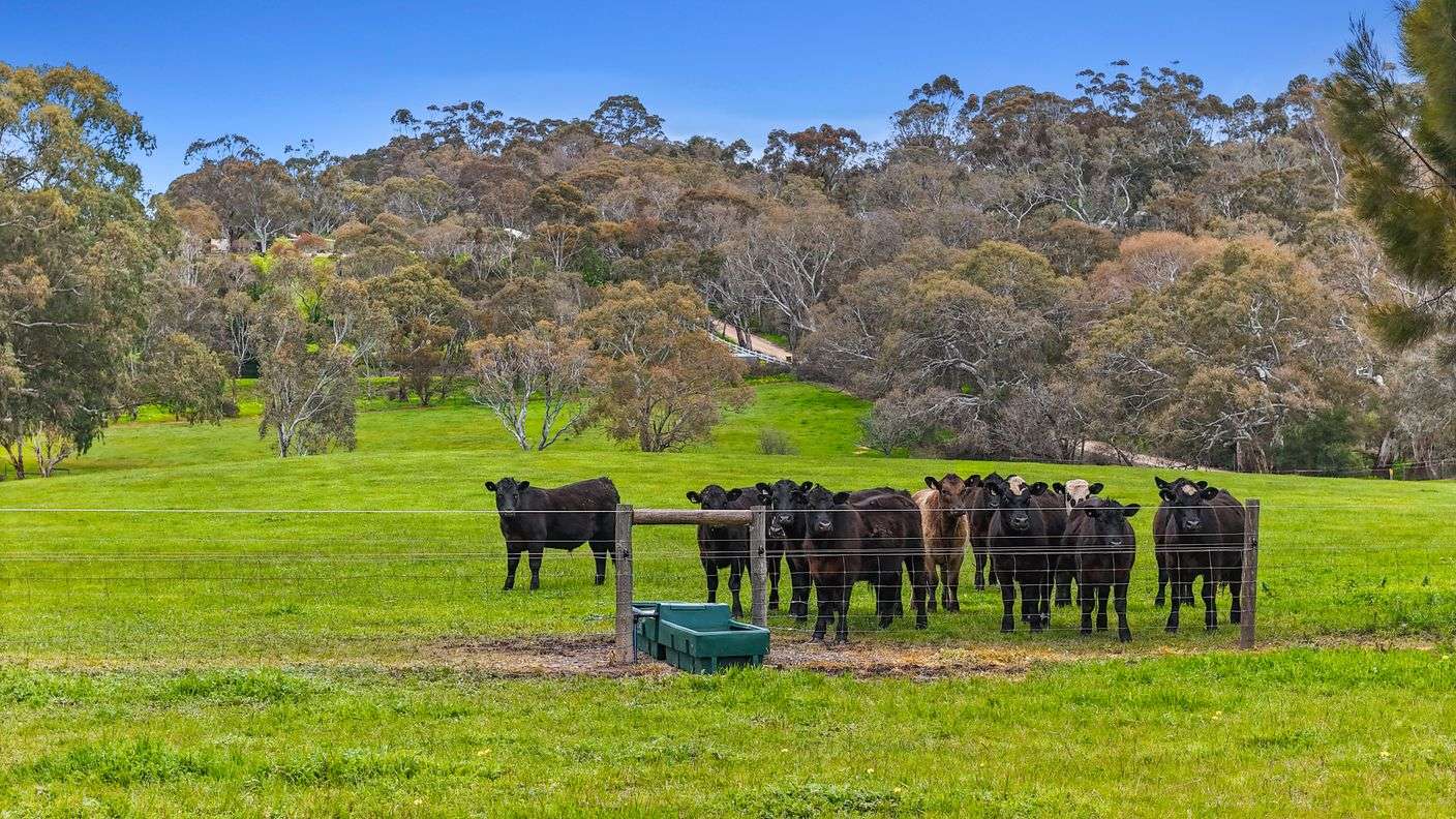 Sold - A300 Bonython Road, Bugle Ranges, SA 5251 - Raine & Horne ...